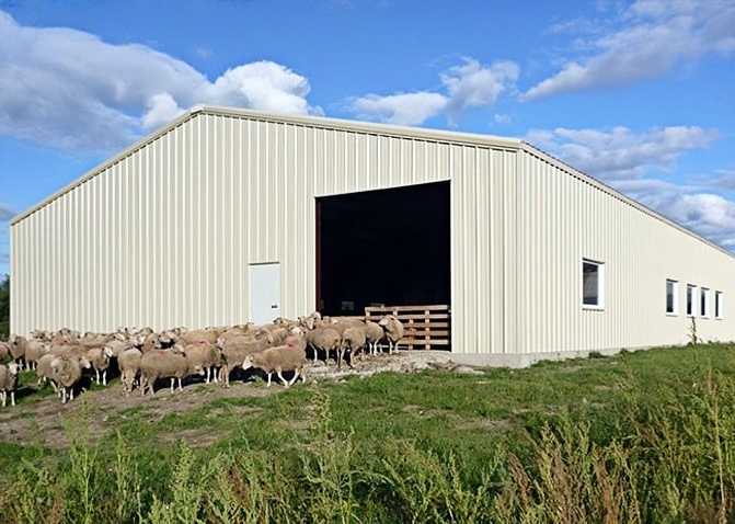 Prefab Steel Poultry House for 10,000 Chickens - Farm Structure